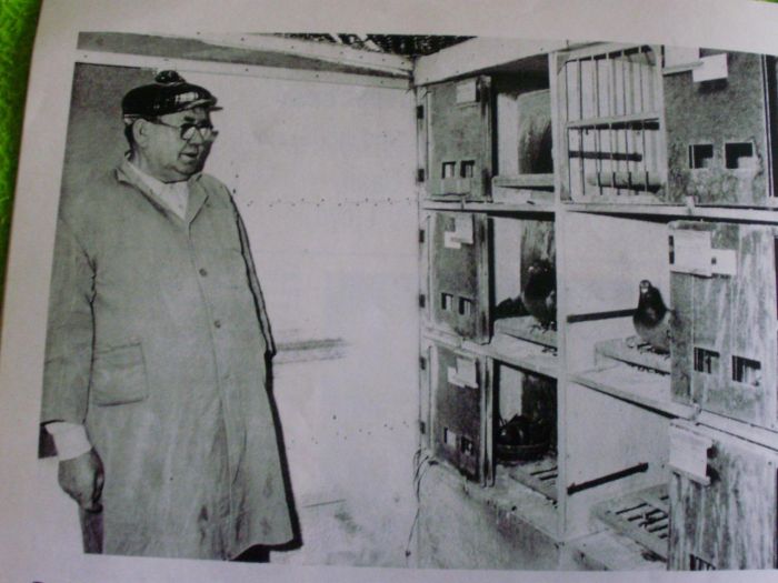 Georges Busschaert – Virtual Stock Loft